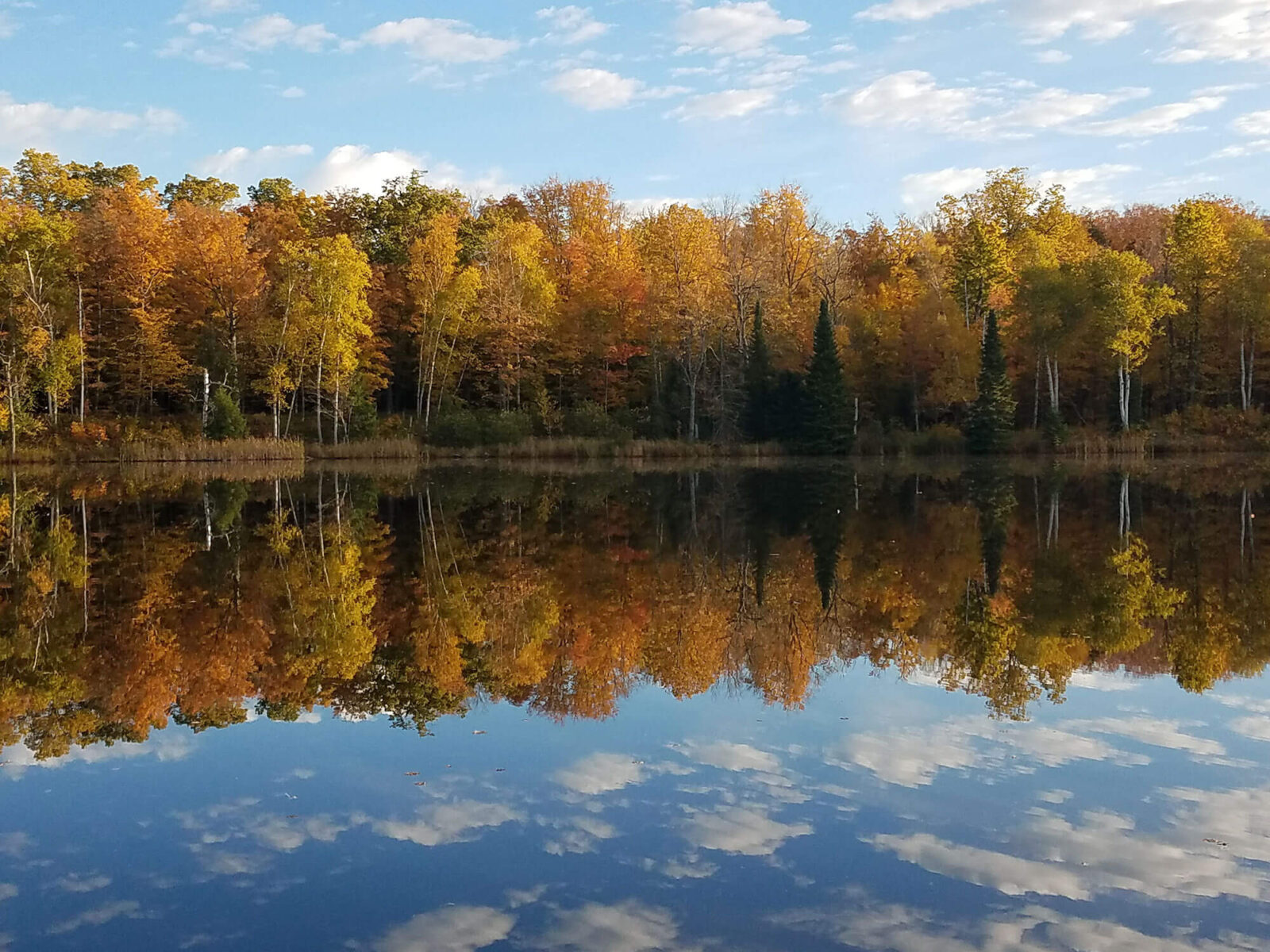 Home - Lyme Great Lakes